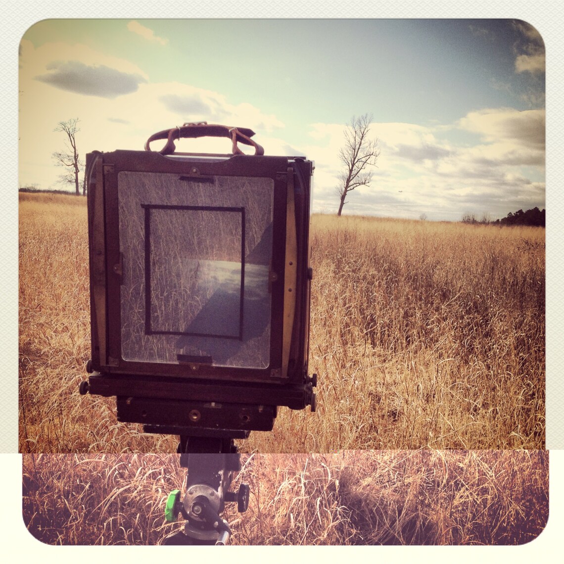 Wet Plate Collodion Photography Print Tree Landscape Fine Art Print ...