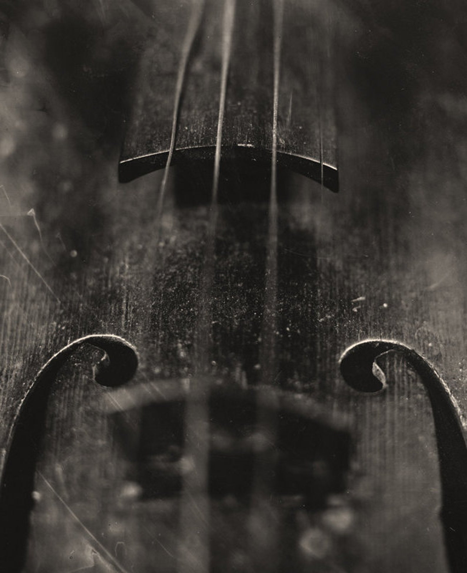 Wet Plate Collodion Photography Print - Violin Still Life - Fine Art ...