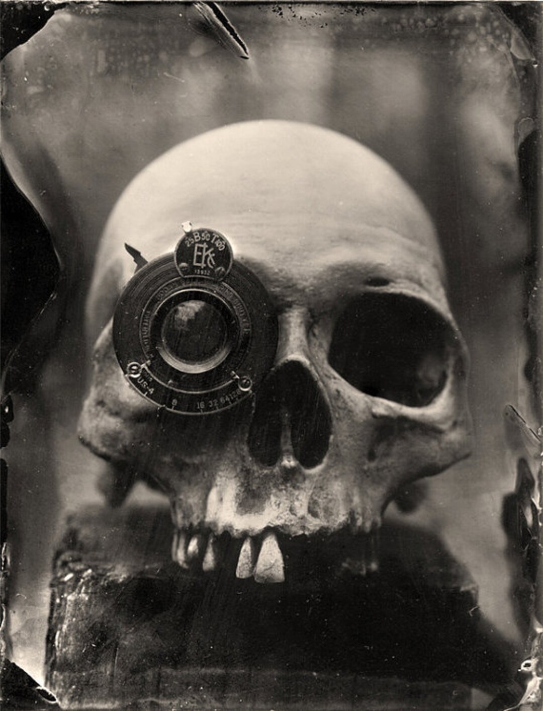 Wet Plate Collodion Photography Print Skull With Lens Eye Still Life ...
