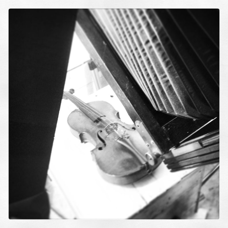 Wet Plate Collodion Photography Print - Violin Still Life - Fine Art ...