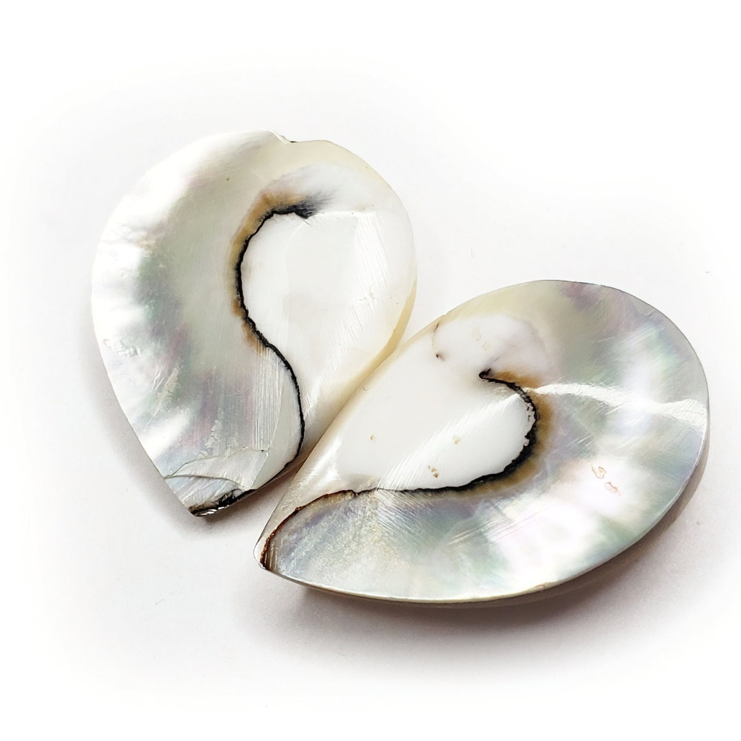 Abalone Cabochons Set, Pair of 2 White Abalone Shells, Teardrop Shape ...