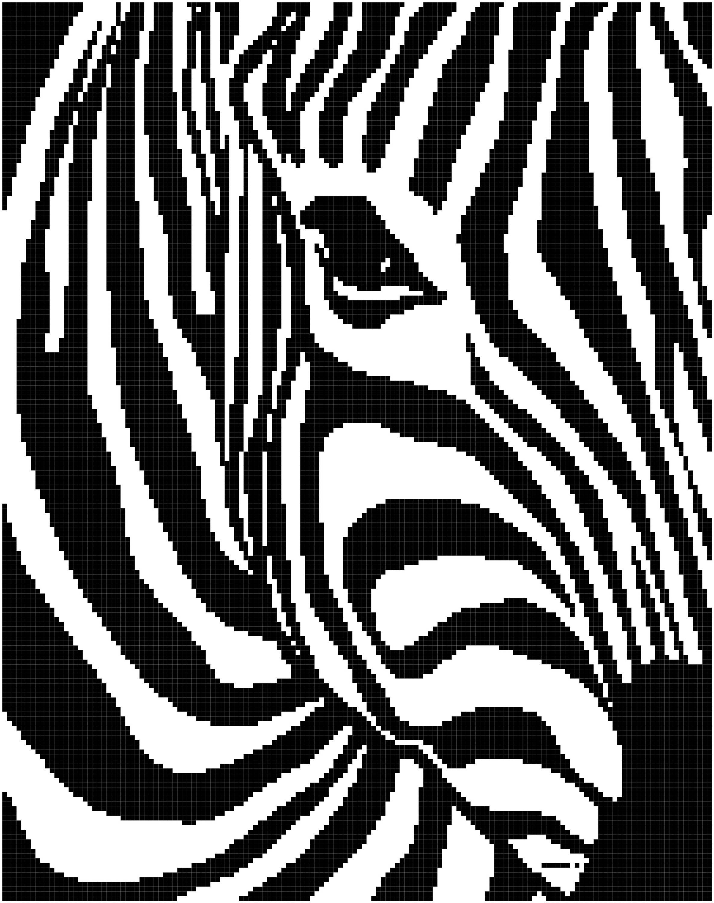 Zebra Blanket Pattern - Etsy