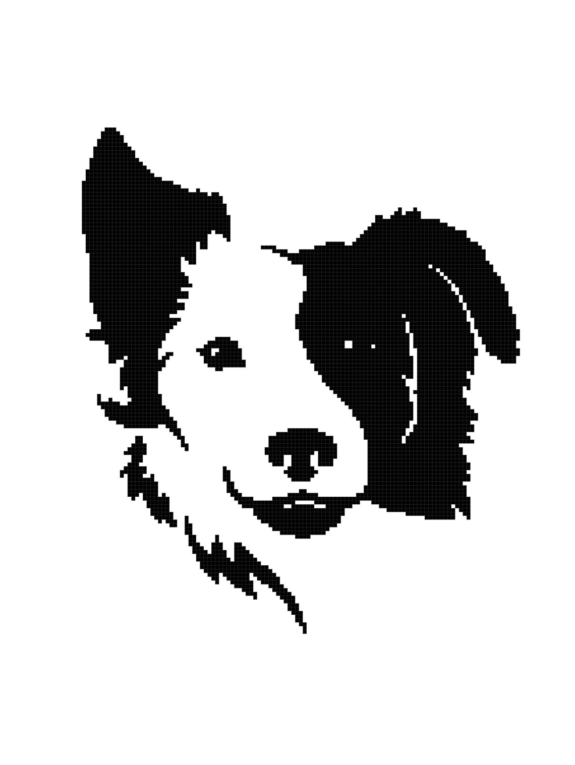 Border Collie Graph Blanket Pattern - Etsy