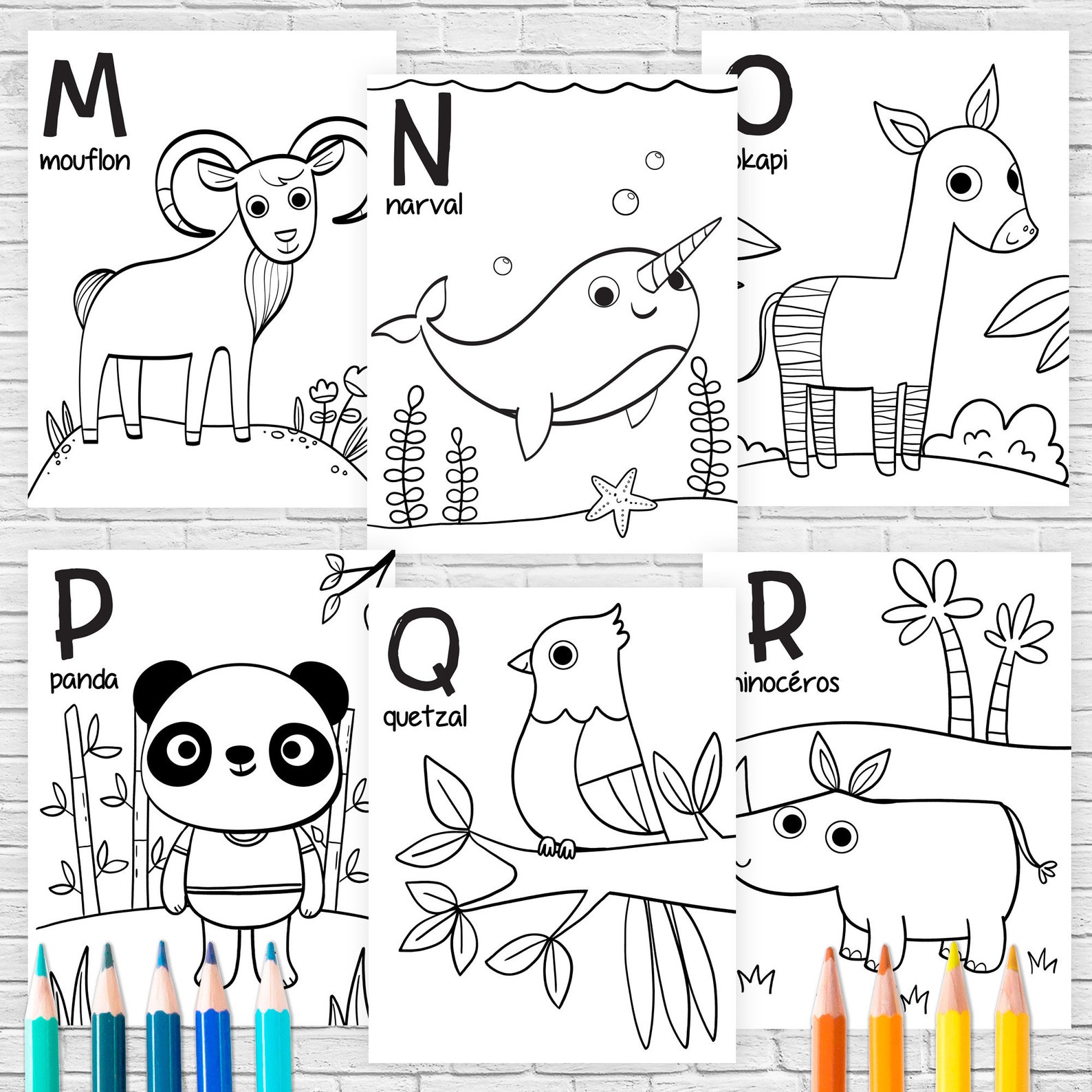 FRENCH Alphabet Coloring Book Wild Animals Coloring - Etsy