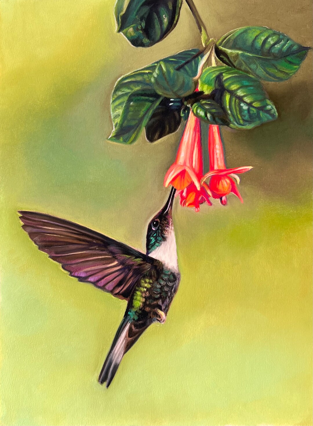 Hummingbird Flying & Flower, 9x12" Original Pastel Painting ...