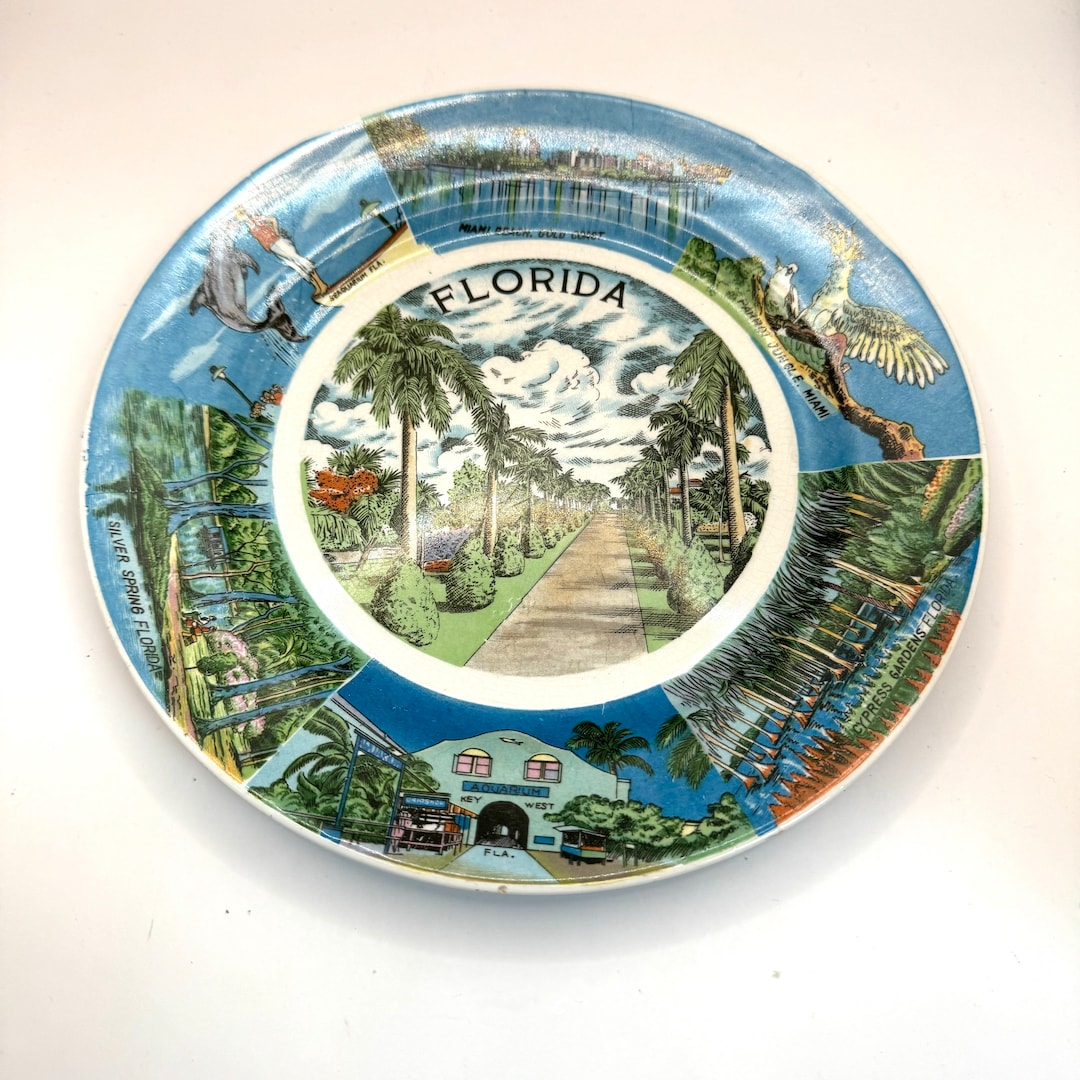 Vintage 1950s Iconic Americana Collectible Florida Mid Century MCM ...