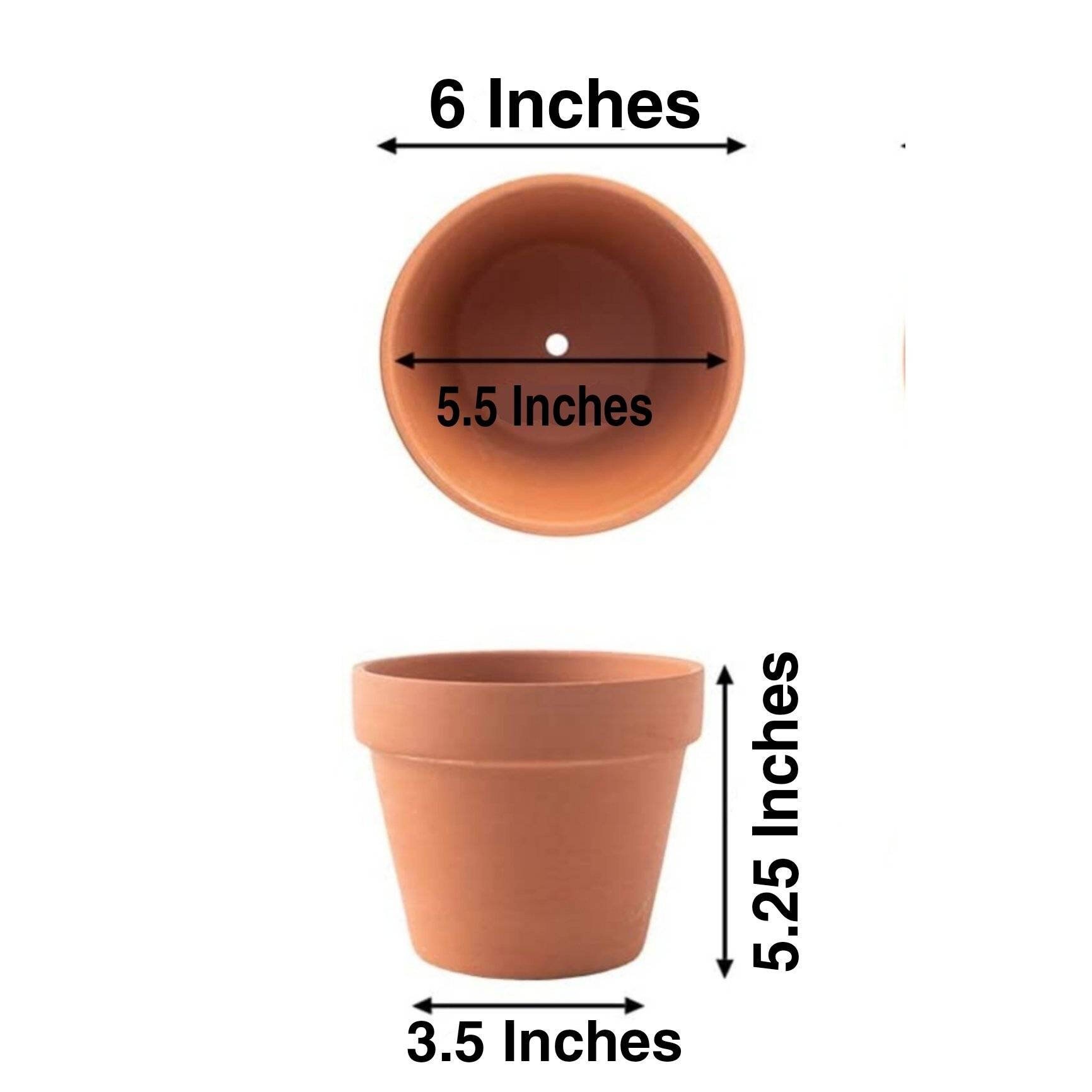 Plant Pot Hand Painted Planter Lover Owls Design Indoor Planter 6 ...