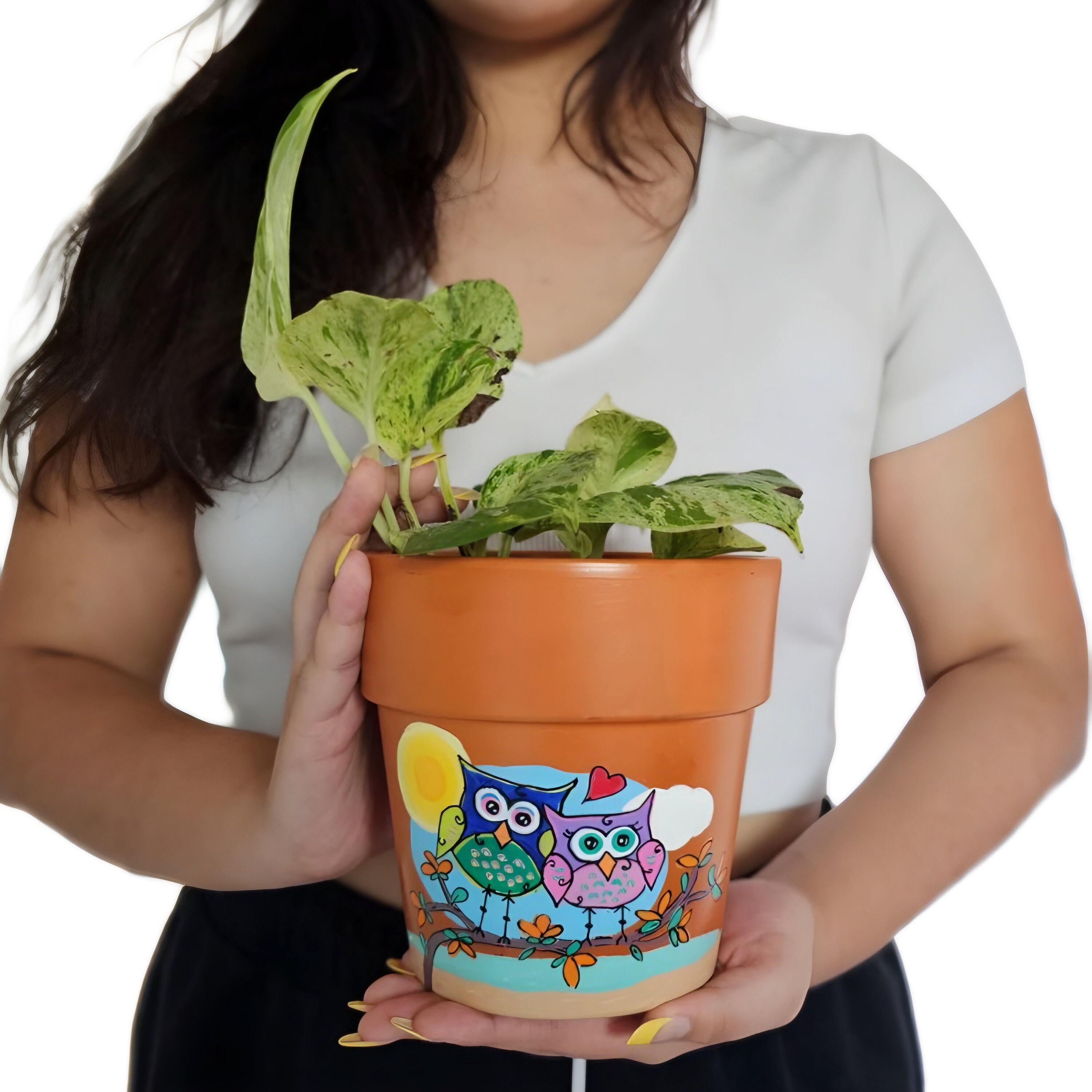 Plant Pot Hand Painted Planter Lover Owls Design Indoor Planter 6 ...