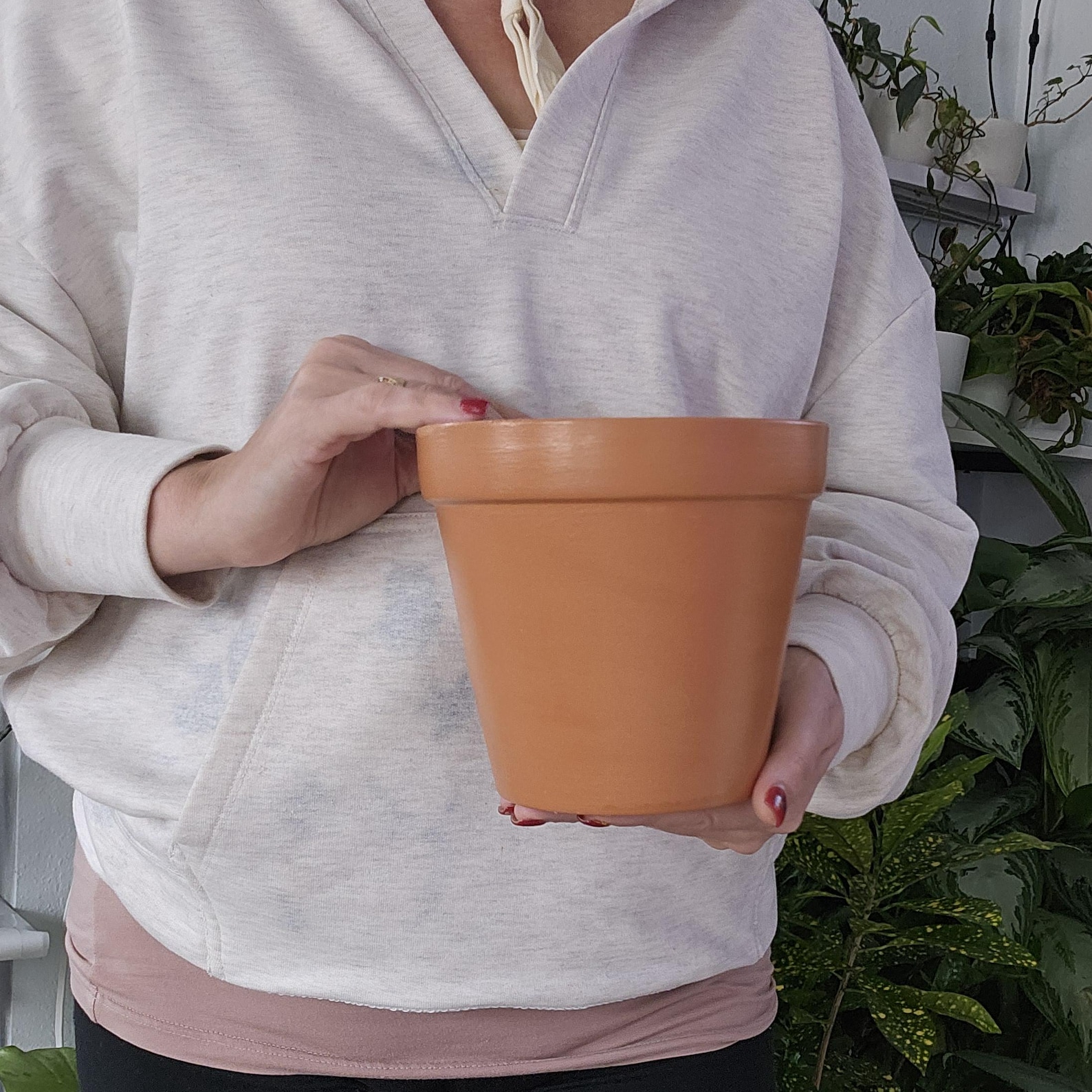 Hand-painted Frog Planter: Personalized Terra Cotta Pot, 6-inch - Etsy