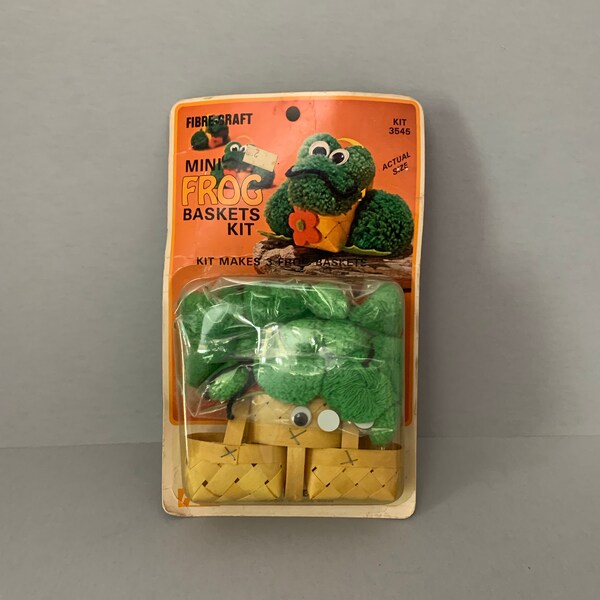 Frog Craft Kit - Etsy
