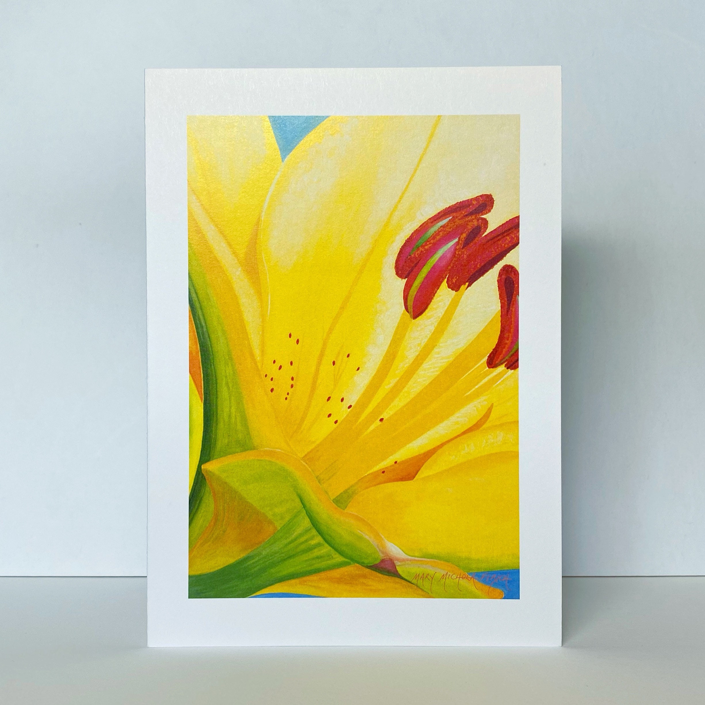 Yellow Lily Greeting Cardlilium 'dreamland' Floral - Etsy