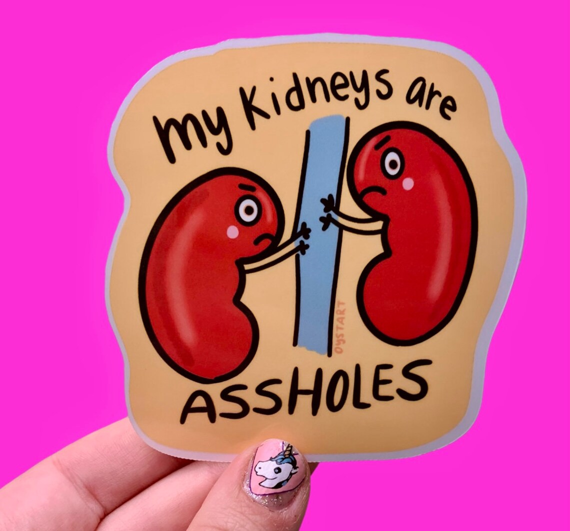 Kidney Disease Sticker Funny My Kidneys are Assholes | Etsy