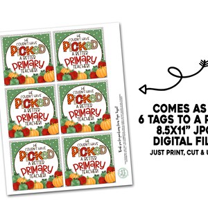 Primary Teacher Thank You Gift Tags, We Couldn't Have Picked a Better ...