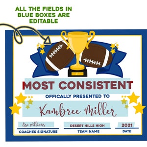 Sports Team Awards, Editable PDF File, Sports Certificates, End of ...
