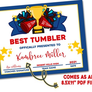 Sports Team Awards, Editable PDF File, Sports Certificates, End of ...