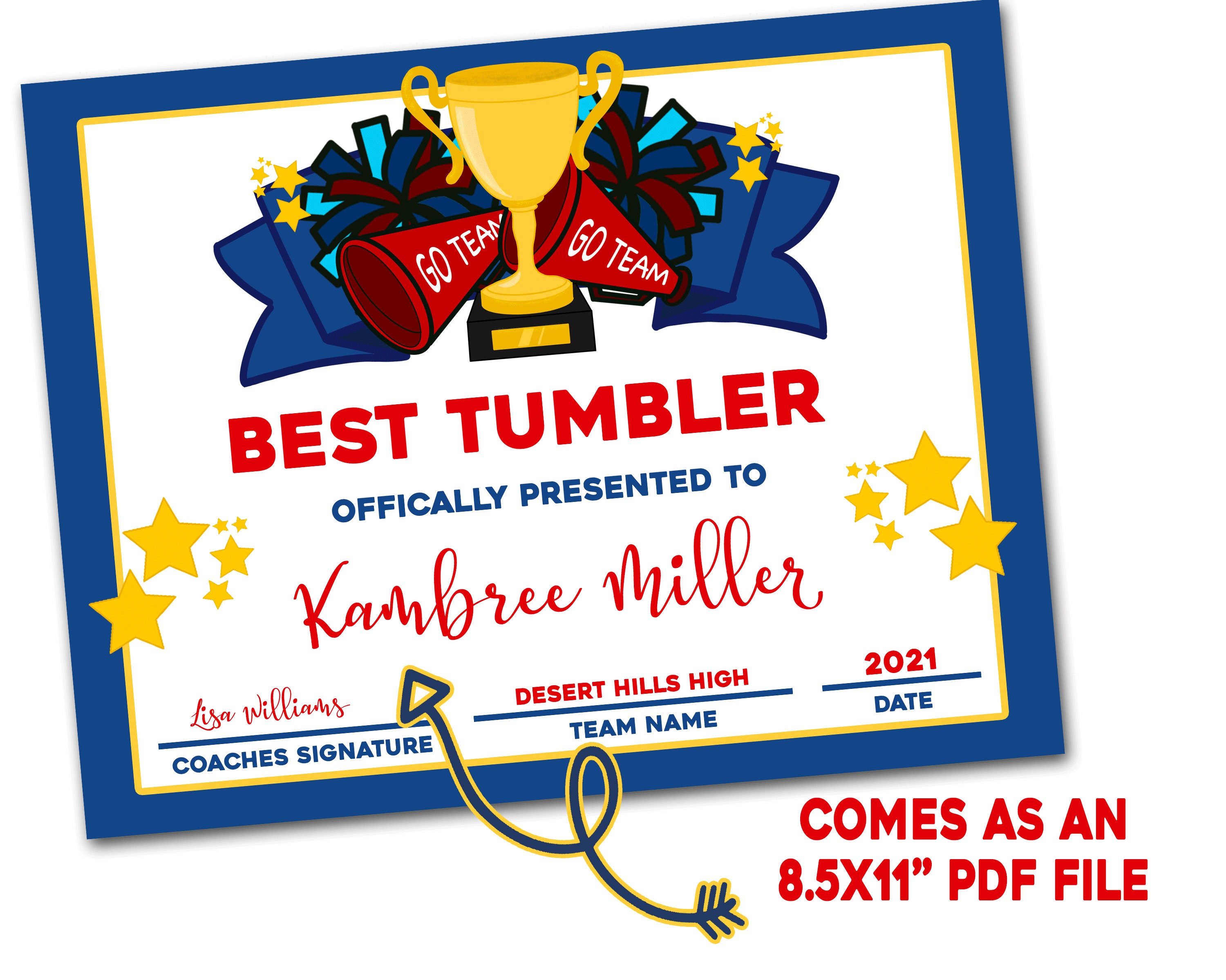 Sports Team Awards, Editable PDF File, Sports Certificates, End of ...