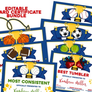 Sports Team Awards, Editable PDF File, Sports Certificates, End of ...