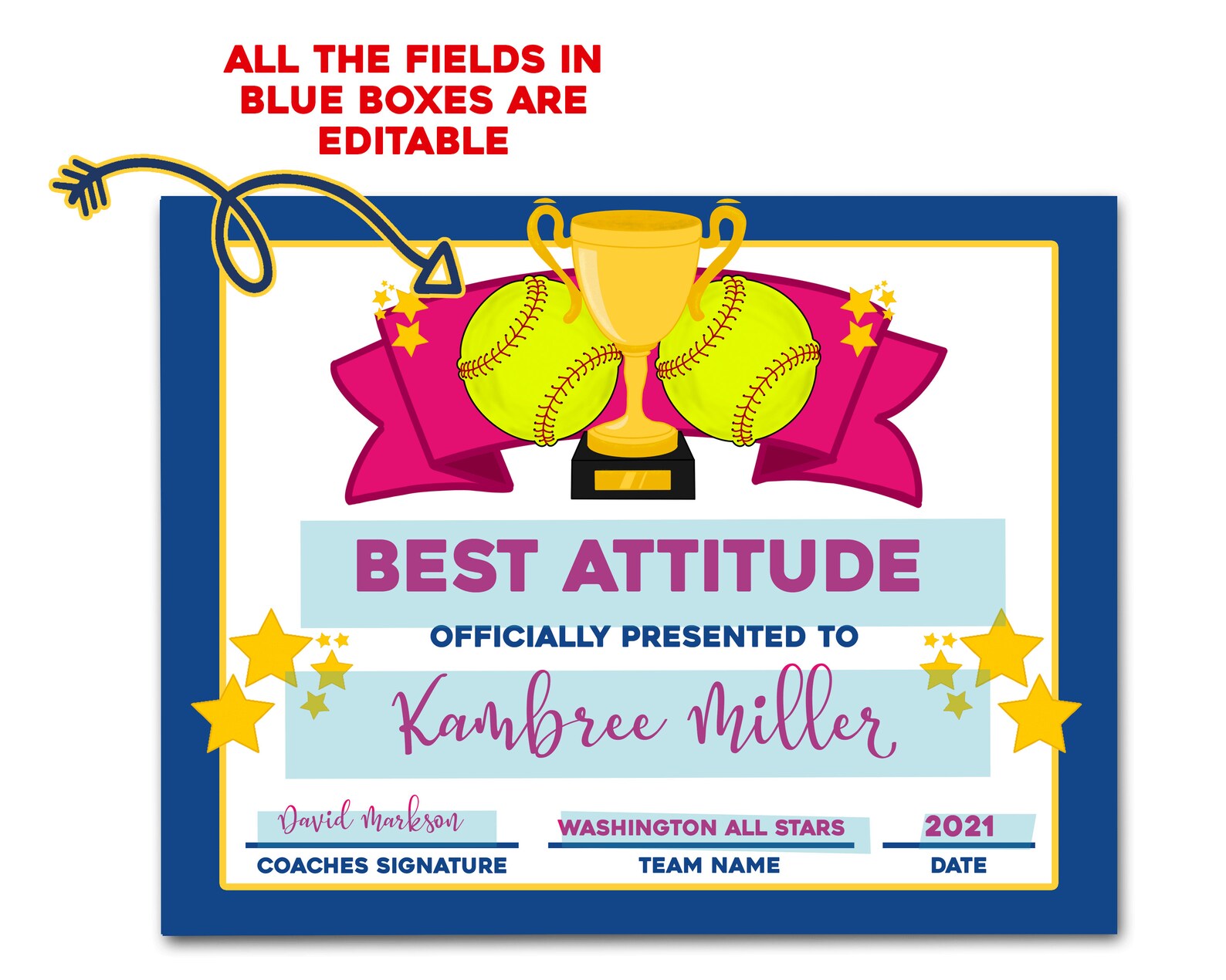 Softball Team Awards Editable PDF File Softball - Etsy