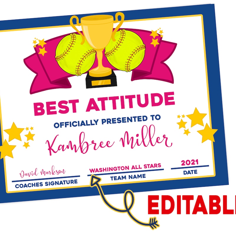 Softball Award Template - Etsy
