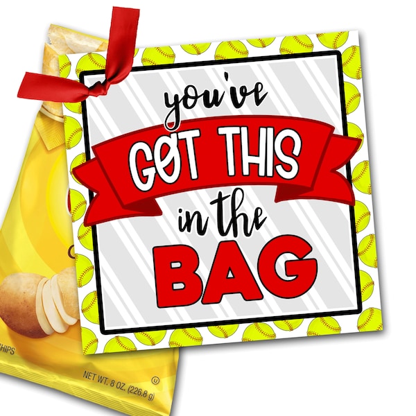 You've Got This in the Bag Printable - Etsy