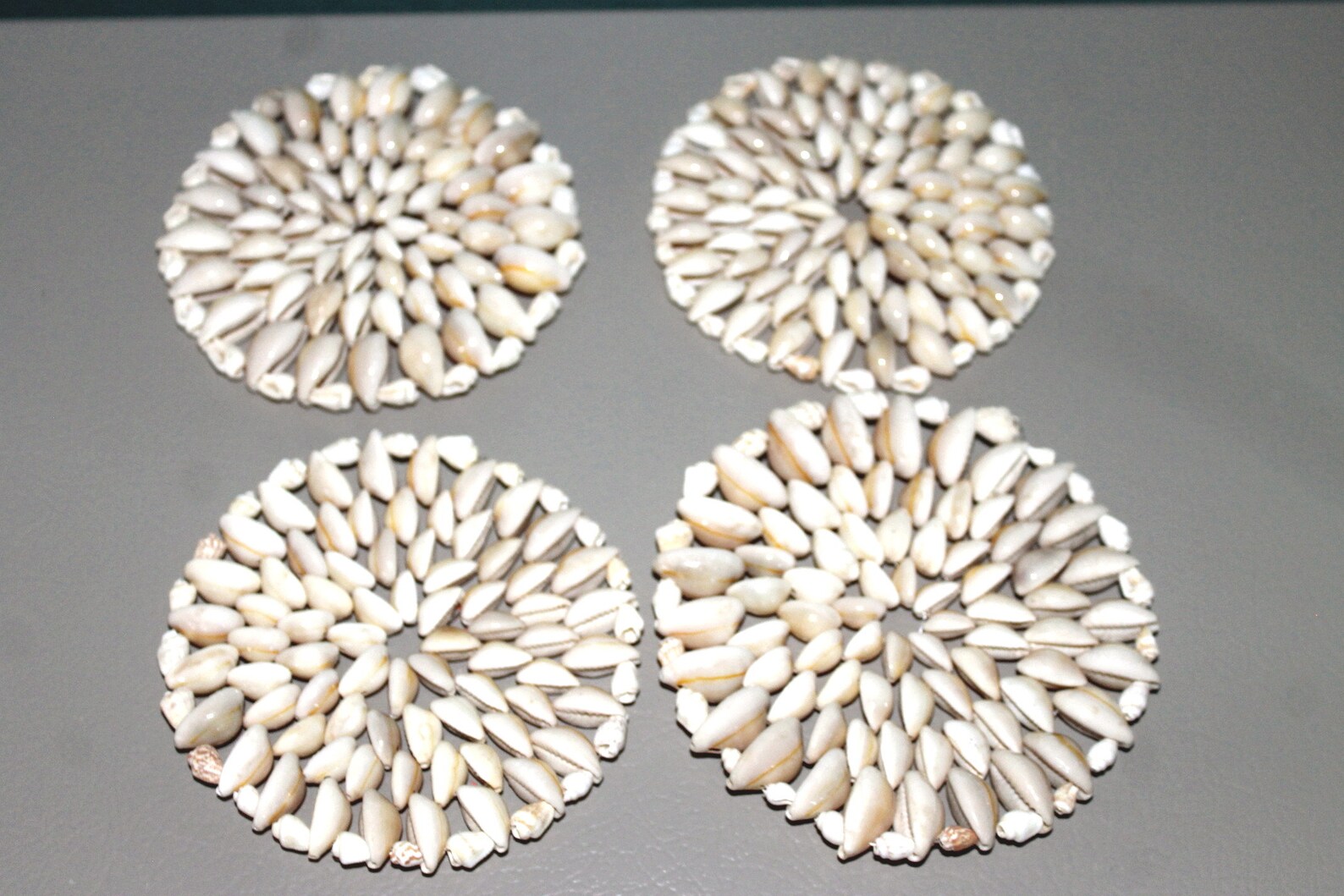 Seashell Coasters Set of 4 Four Sea Shells Beach Combing Flip - Etsy