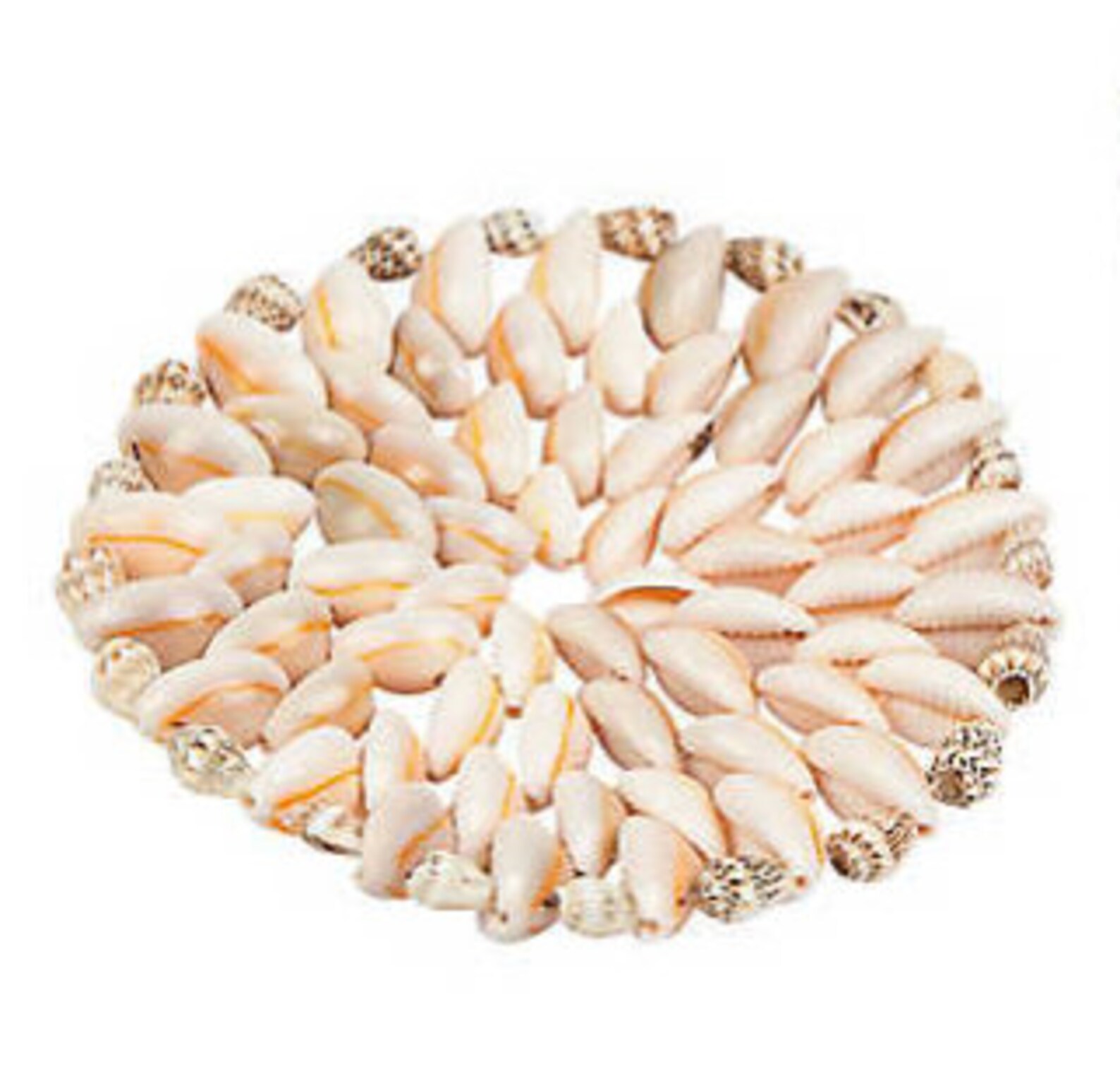 Seashell Coasters Set of 4 Four Sea Shells Beach Combing Flip - Etsy