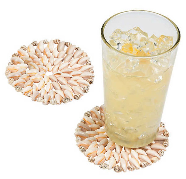 Seashell Coasters Set of 4 Four Sea Shells Beach Combing Flip - Etsy