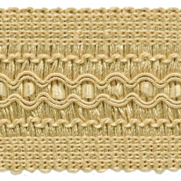 Gold Trim Champagne - Etsy