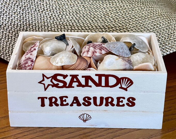Sea Shell Assortment With Sharks Teeth Bonus Collected From the Beaches ...