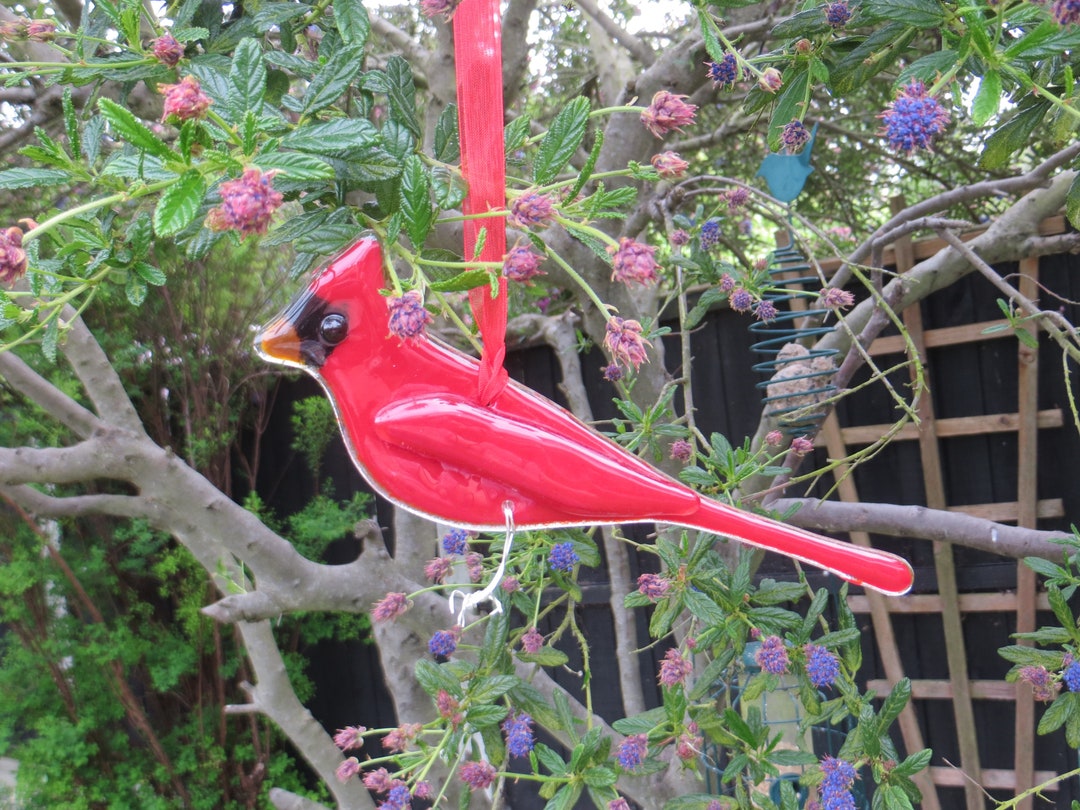 Fused Glass Red Cardinal Bird Bird Lover-bird Gift Nature Lover Gift ...