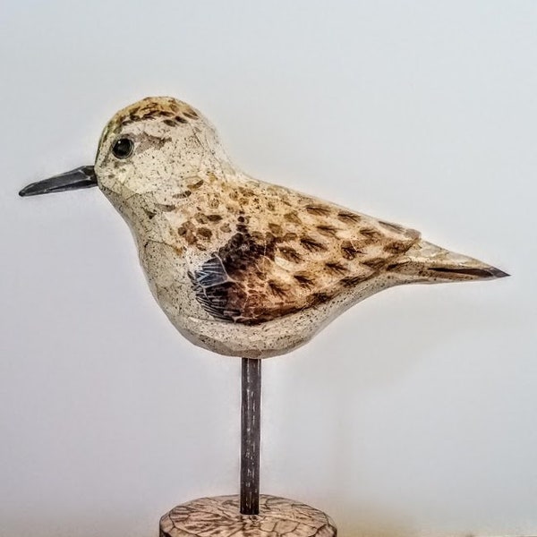 Shorebirds - Etsy