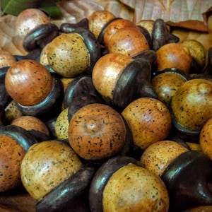 Carved Wooden Acorns (20) Total - Etsy