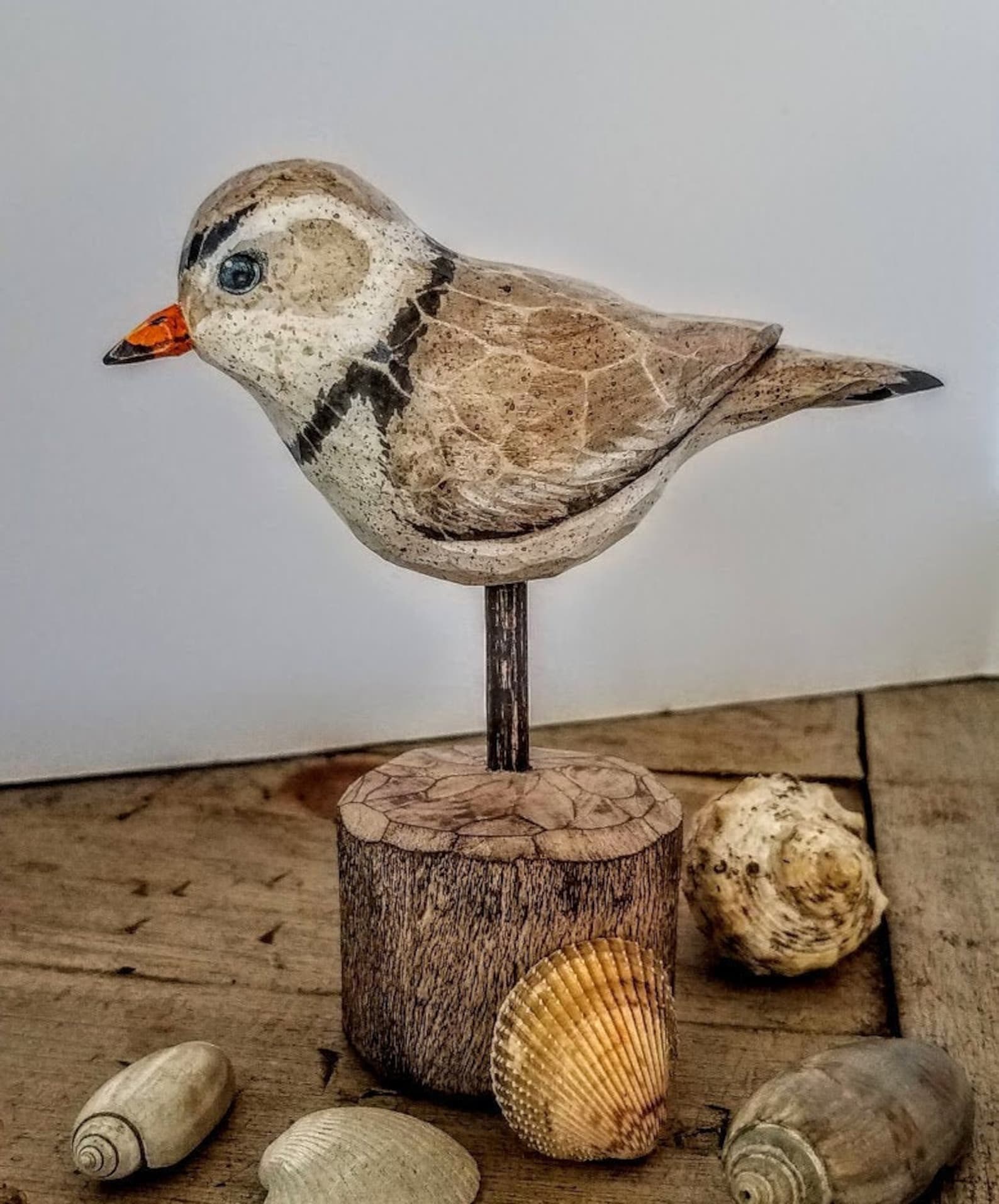 Shorebird Piping Plover Wood Carving - Etsy