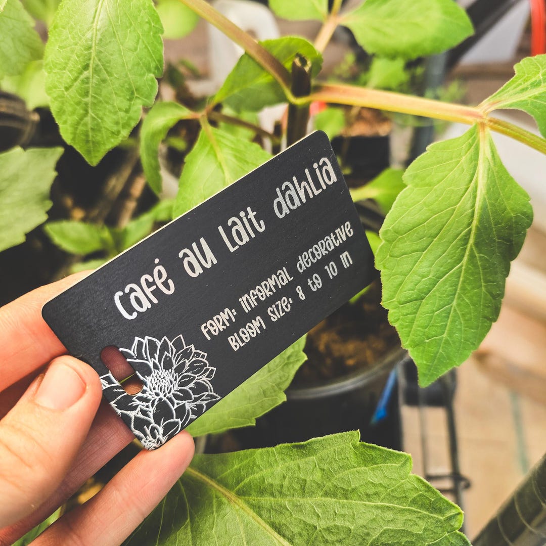Reusable Dahlia Tuber Garden Marker Plant Tags (includes Dahlia Image in Corner), Plant Labels ...