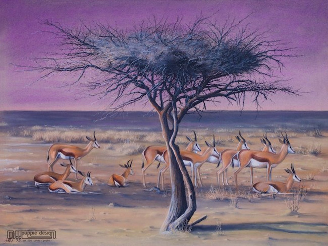AFRICAN Landscape Artwork Drawing of Springboks ANTELOPE ART Wildlife ...
