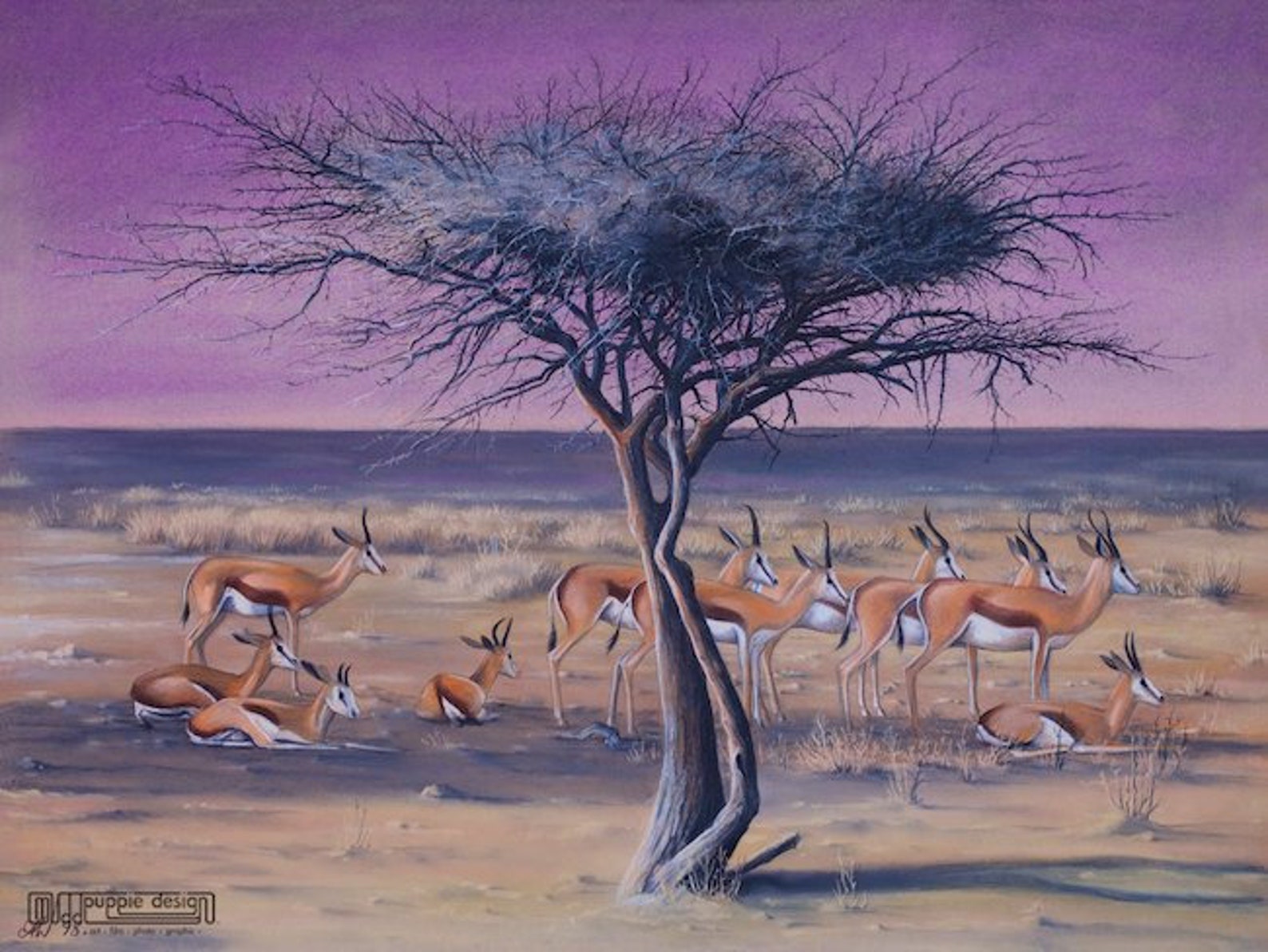 AFRICAN Landscape Artwork Drawing of Springboks ANTELOPE ART Wildlife ...