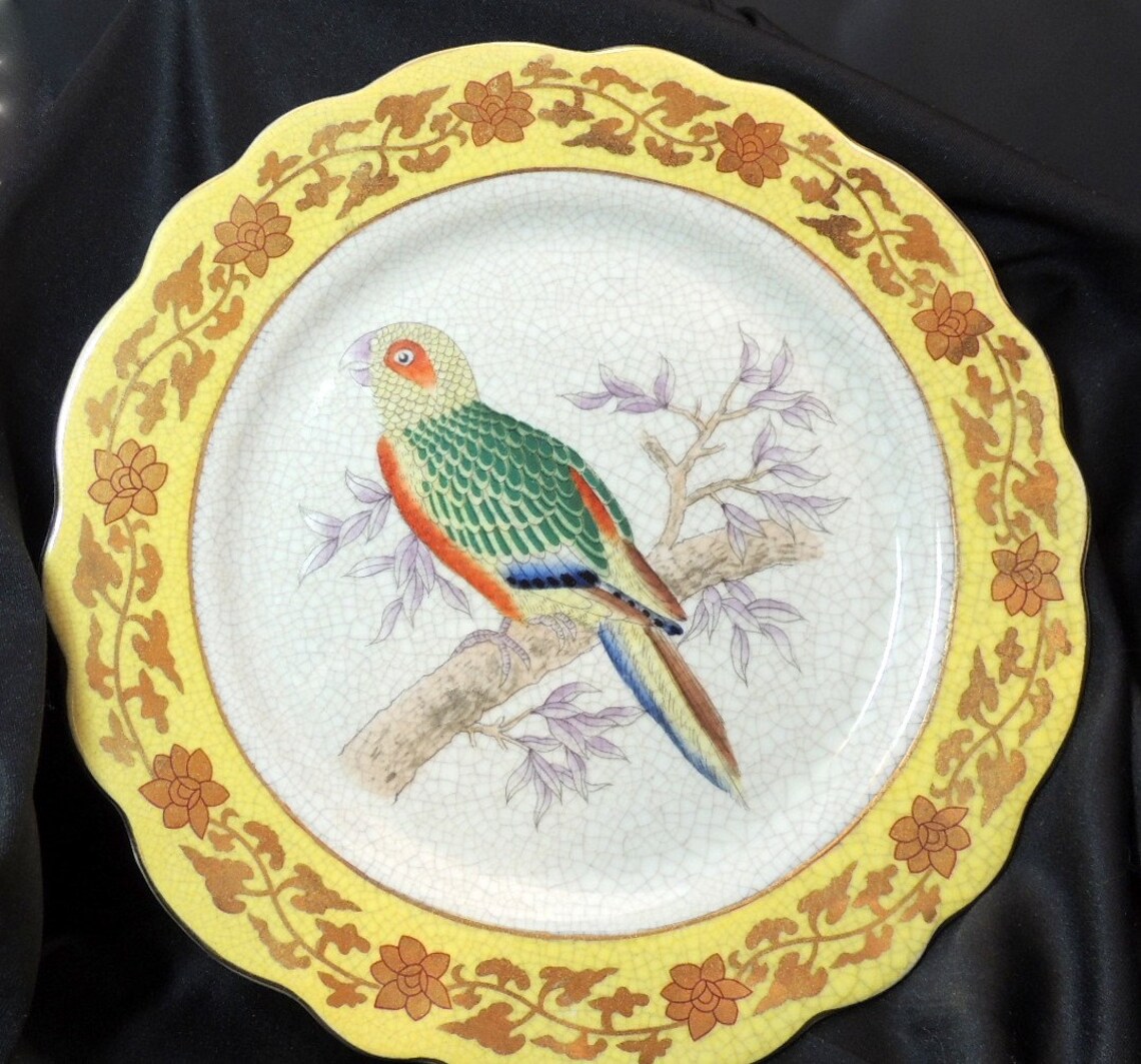 Parrot Decorative Plate Platter Hanging Parrot Head Crackle - Etsy