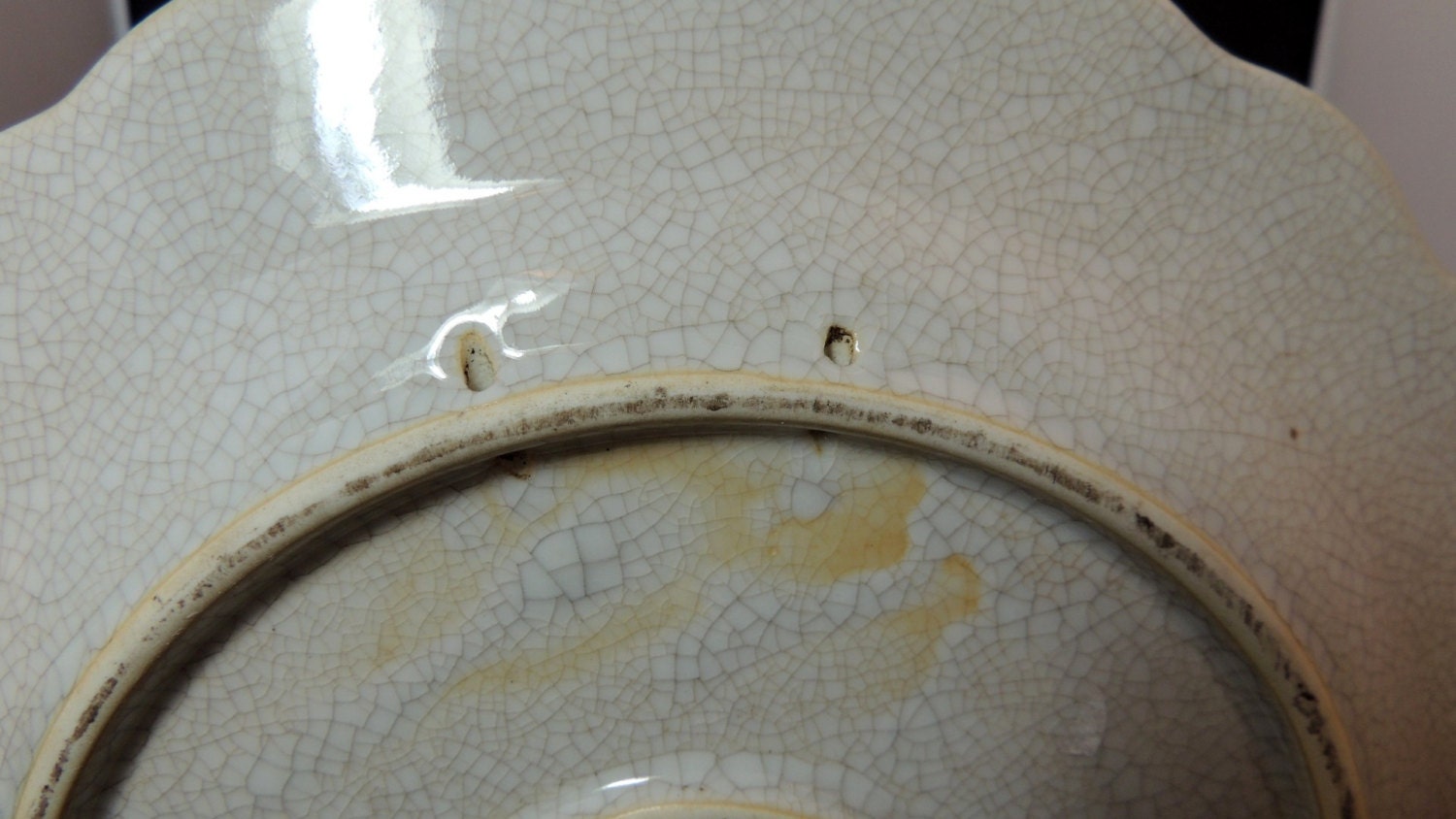 Parrot Decorative Plate Platter Hanging Parrot Head Crackle - Etsy