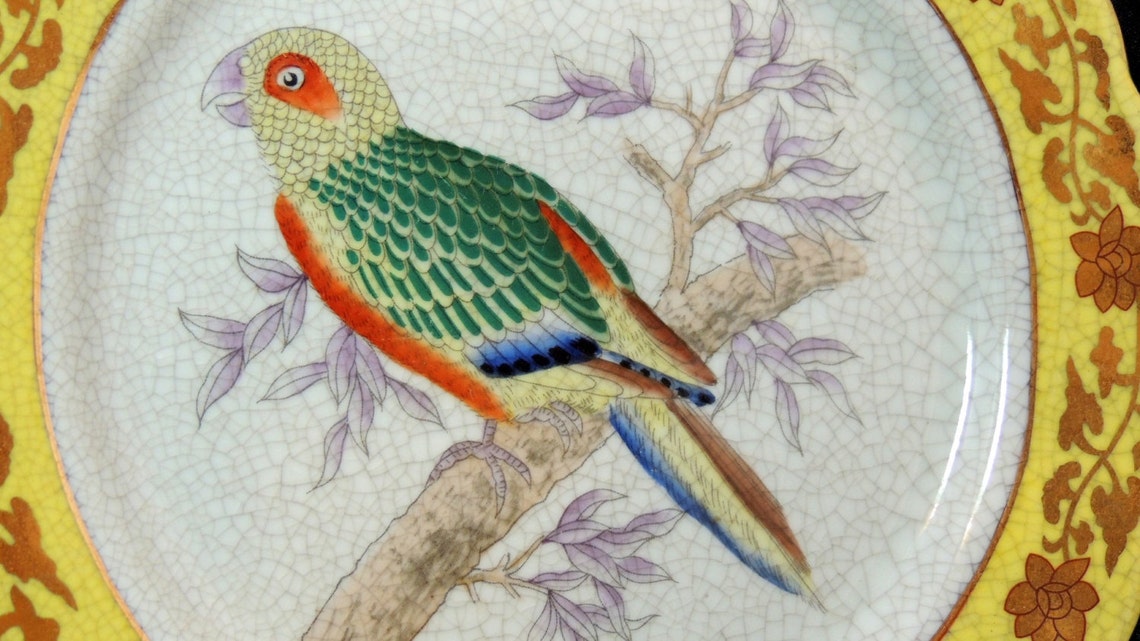 Parrot Decorative Plate Platter Hanging Parrot Head Crackle - Etsy