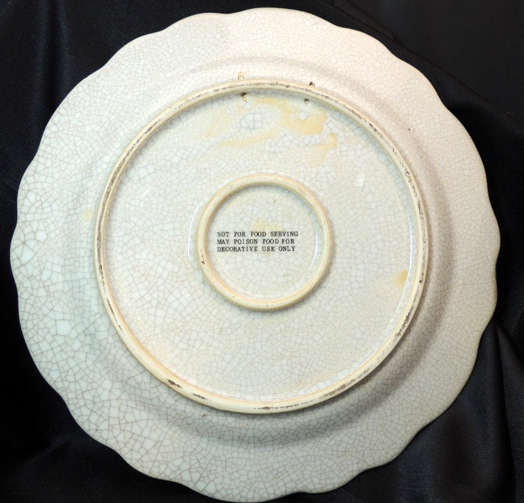 Parrot Decorative Plate Platter Hanging Parrot Head Crackle - Etsy