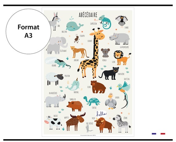 Affiche de l'alphabet animal. Format A3 affiche pour - Etsy France
