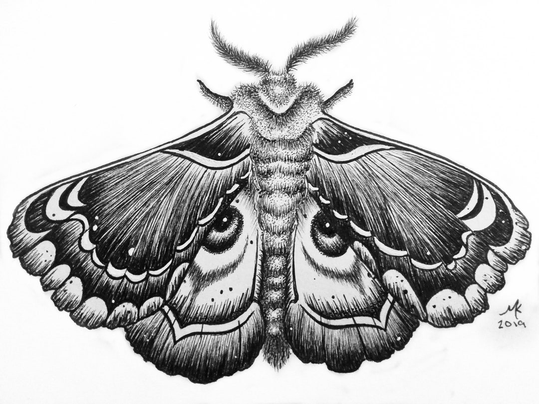 Moth Original Artwork, Moth Lover Gift, Cottagecore Decor, Fairycore ...