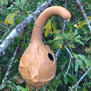 Maranka Gourd Bird House, Paint It or Use Natural - Etsy