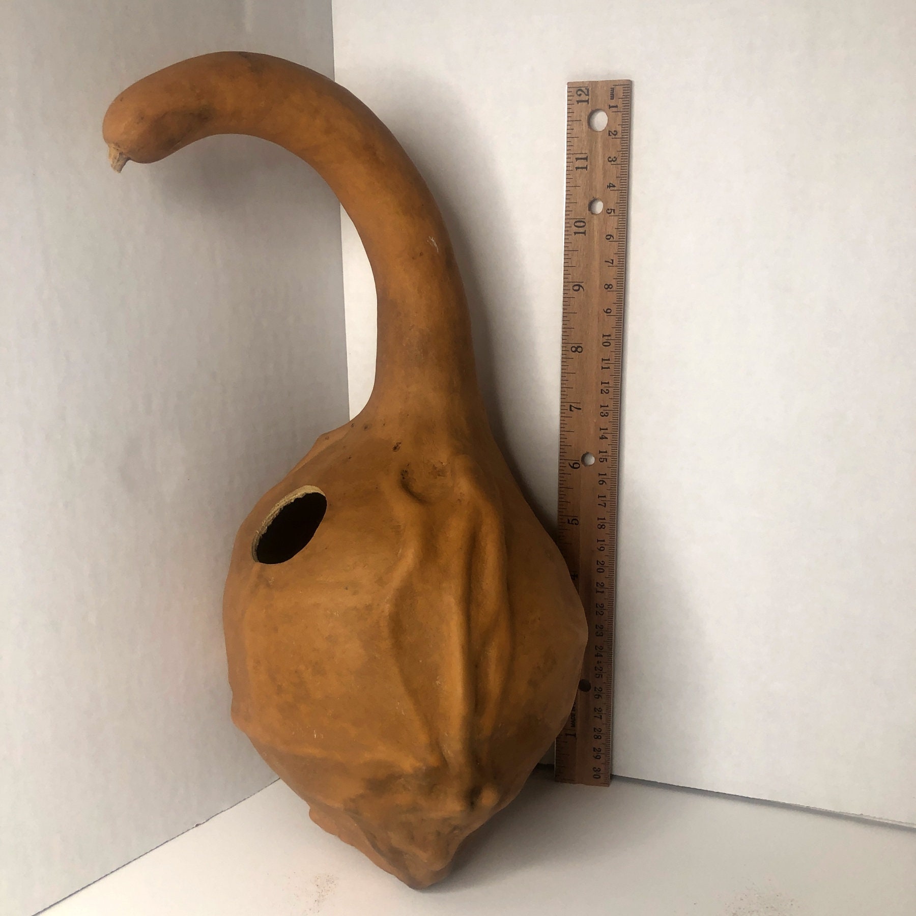 Maranka Gourd Bird House, Paint It or Use Natural - Etsy