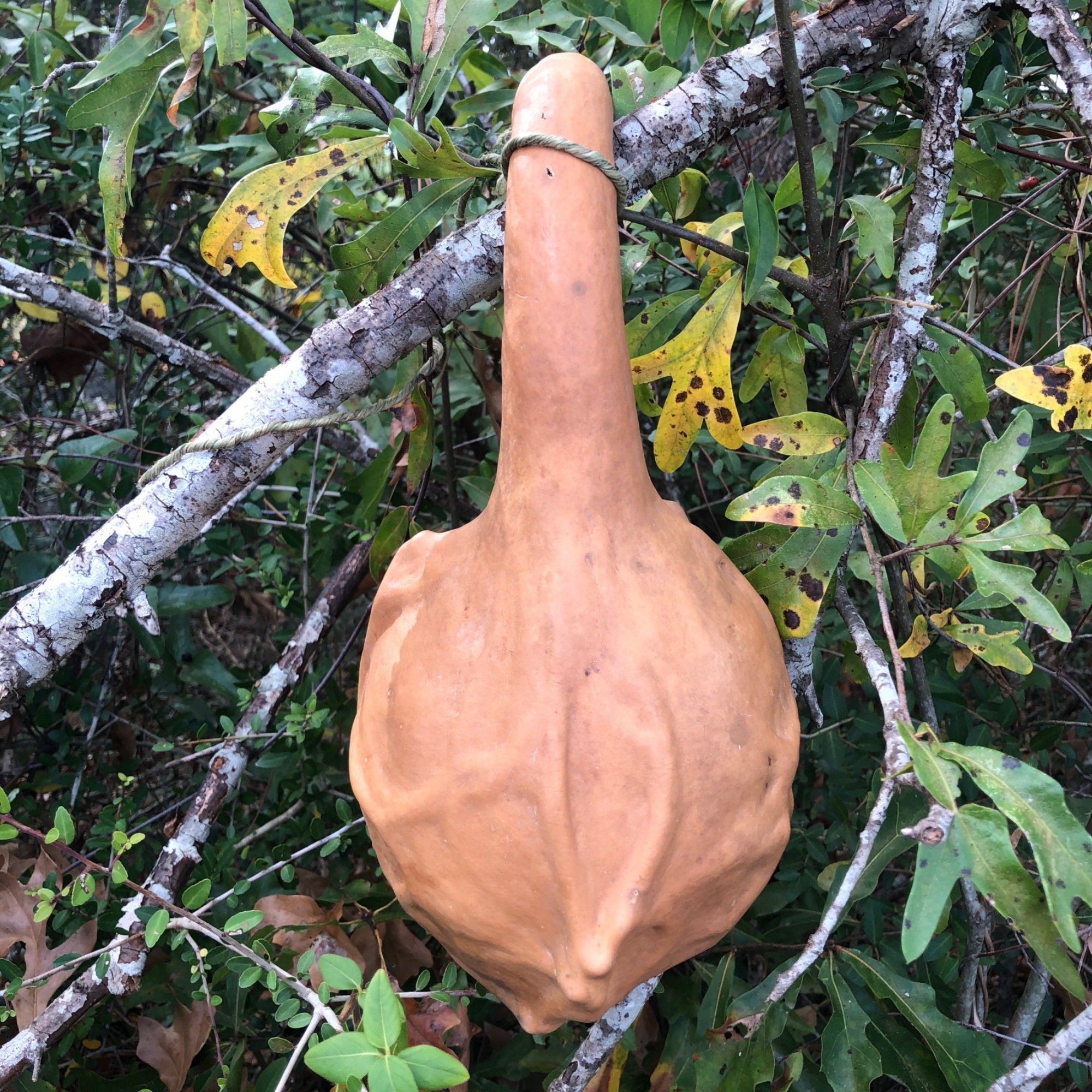Maranka Gourd Bird House, Paint It or Use Natural - Etsy