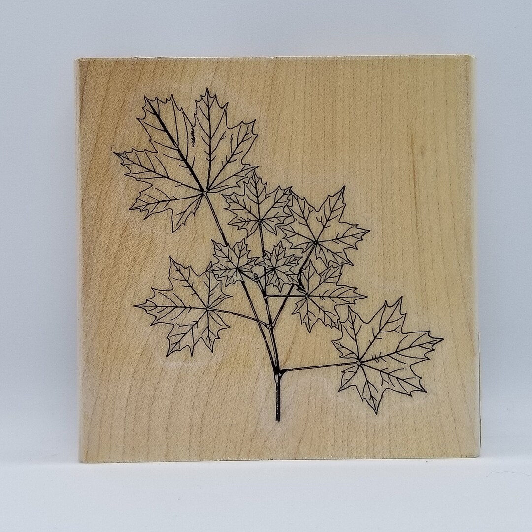 Maple Tree Branch Rubber Stamp by Stamp Cabana, Leaf Leaves, Autumn ...