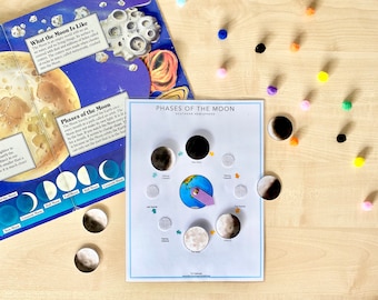 Phases of the Moon Flashcards Moon Phases Printable Flash - Etsy