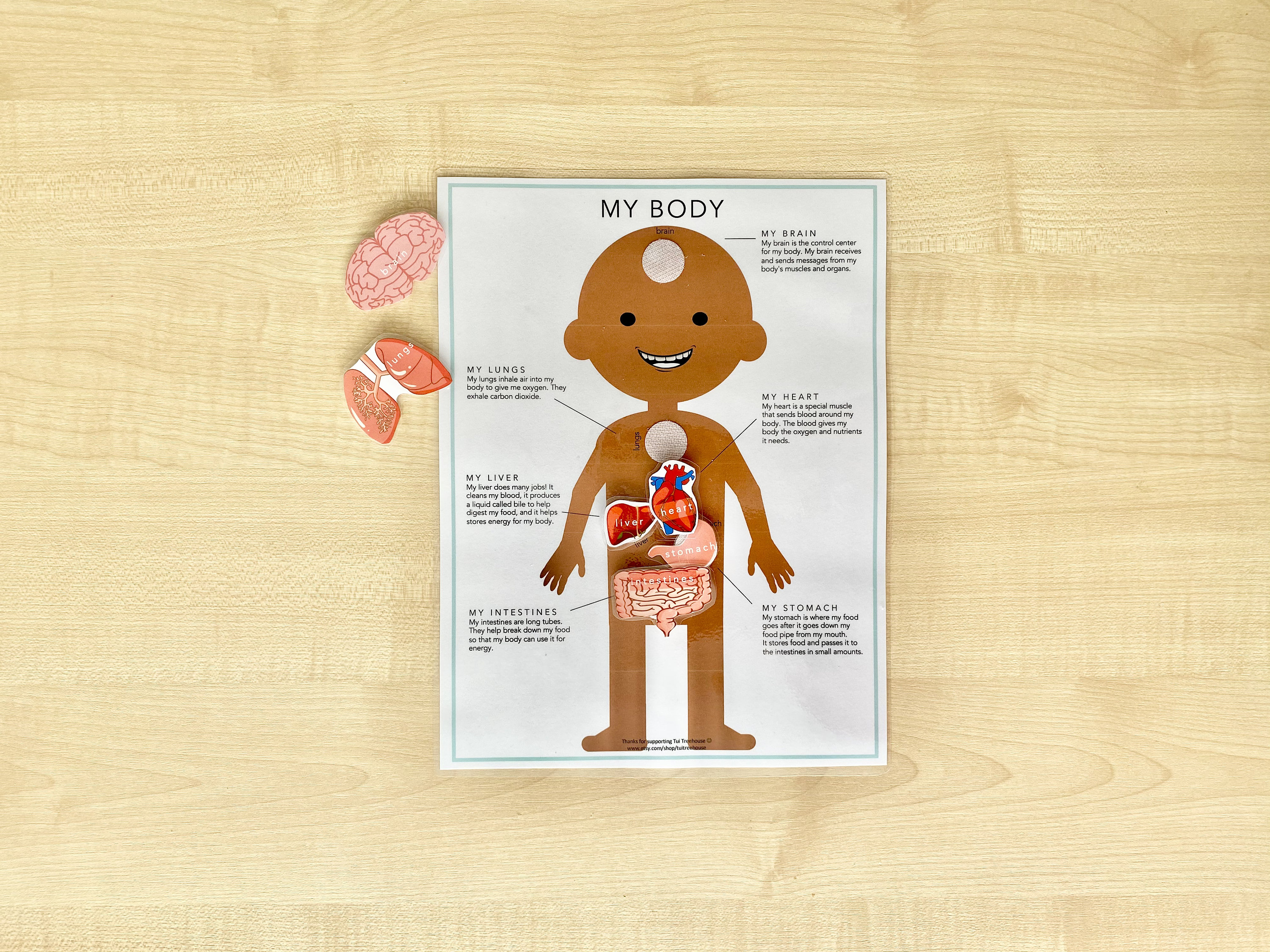 My Body Human Anatomy Matching Game Darker Skin. Learn Human - Etsy UK
