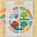 Seasons Printable in Te Reo Maori, Months of the Year Busy Book Sheet ...