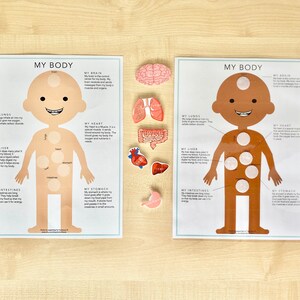 MY BODY Human Anatomy Matching Game - Light Skin. Learn Human Organs ...